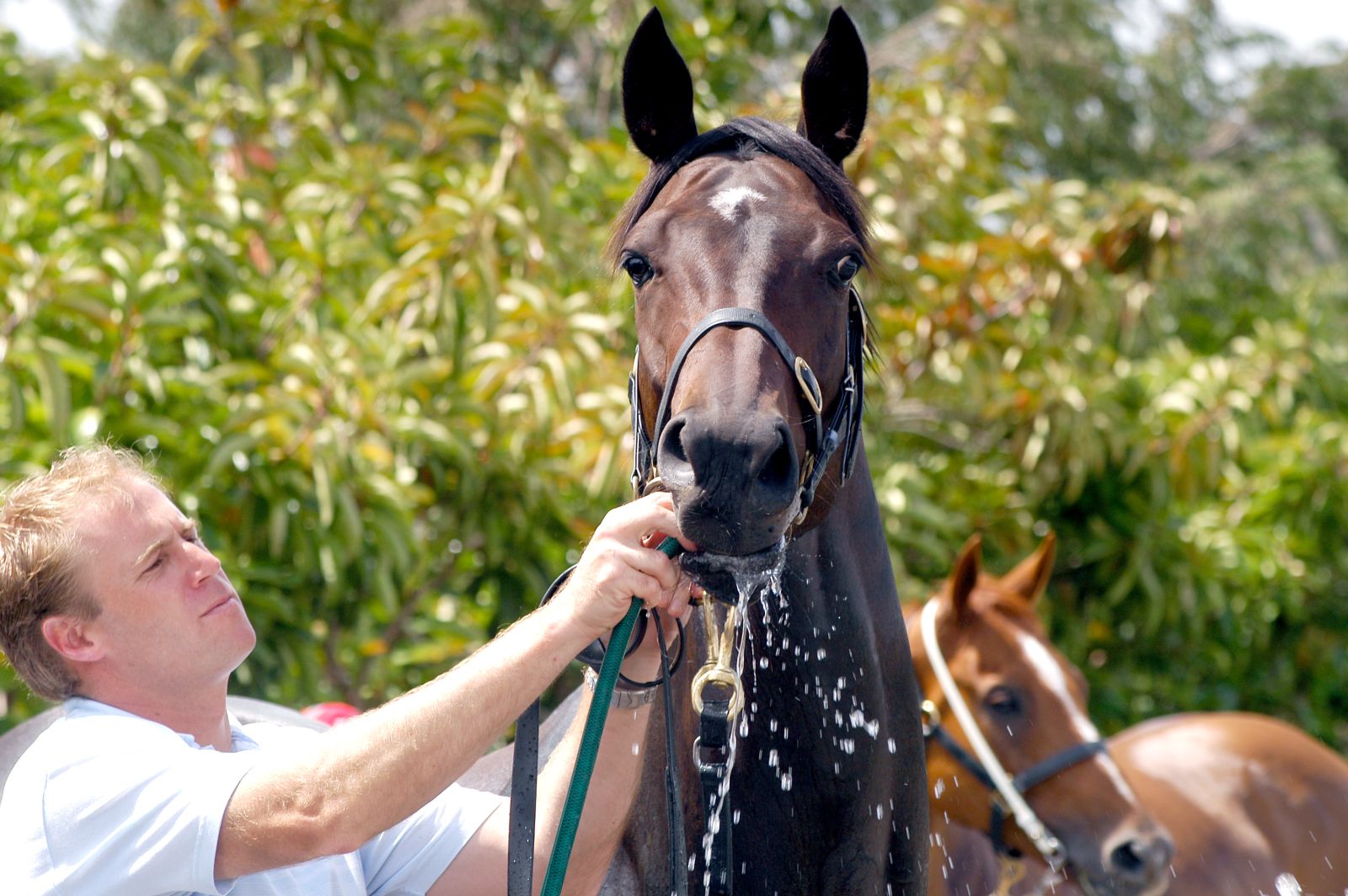 On the home straight: Inside the world of Danny O’Brien Racing